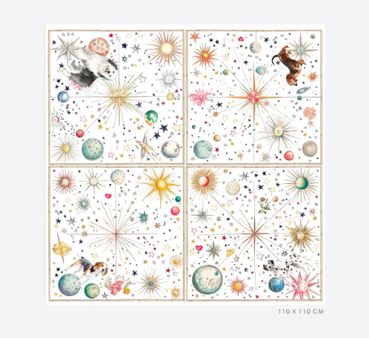 Vilagallo - Silk Scarf with Cosmic Print in Multi – Sophia Lustig